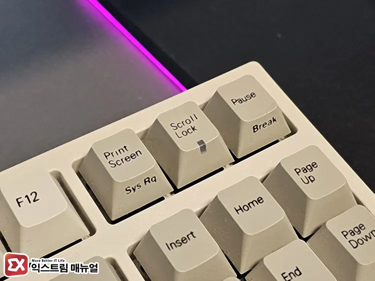 Caps Lock, Num Lock 누를 때 화면 표시 하는 2가지 방법 - 익스트림 매뉴얼